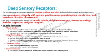 Sensory system (neurological) examination o sulivan.pptx