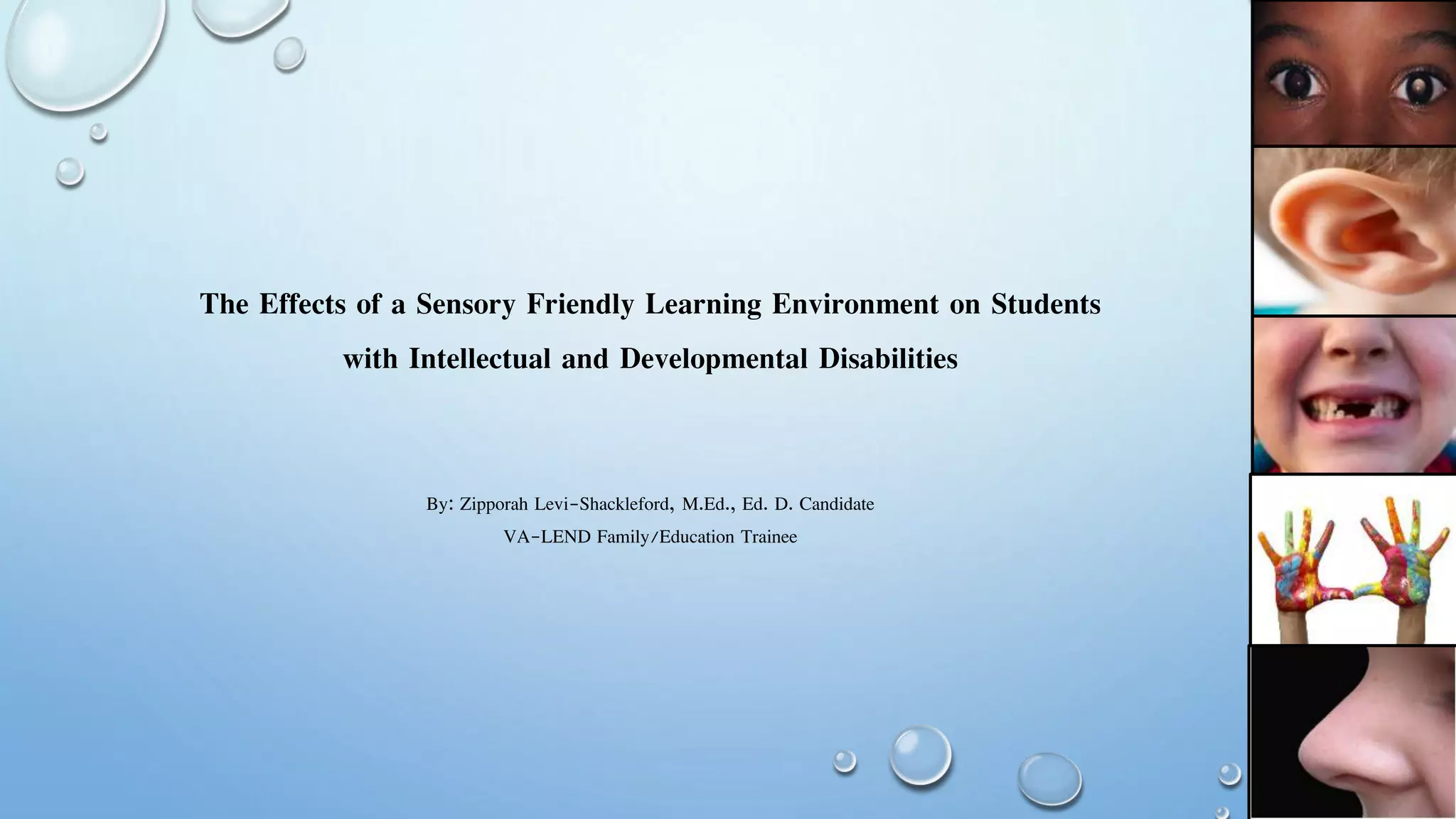 The Effects of a Sensory Friendly Learning Environment on Students with ...