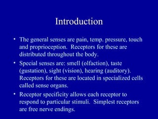 Sensory function | PPT