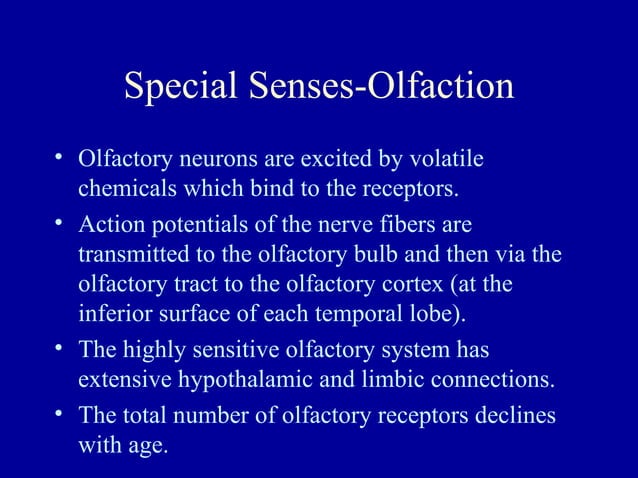 Sensory function | PPT