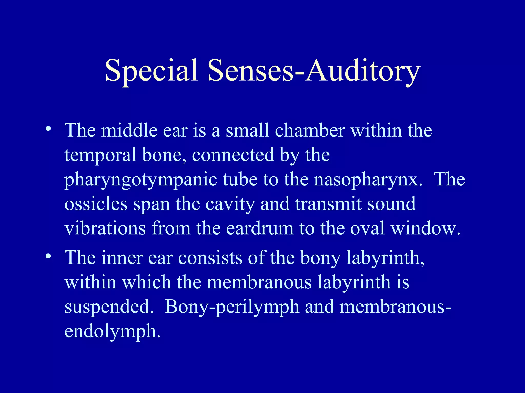 Sensory function | PPT