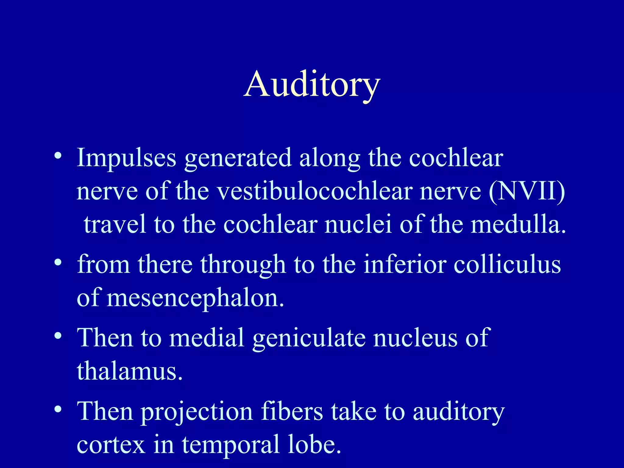 Sensory function | PPT