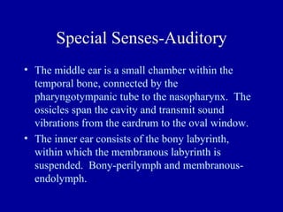 Sensory function | PPT