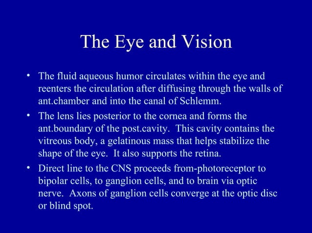 Sensory function | PPT