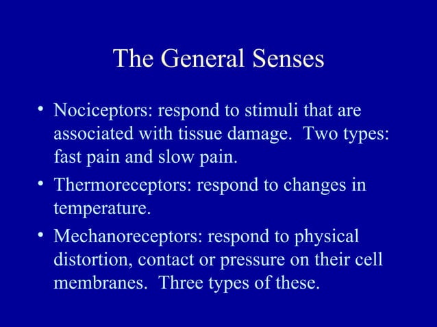 Sensory function | PPT
