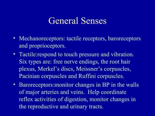 Sensory function | PPT