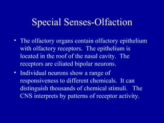 Sensory function | PPT