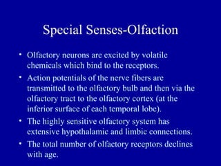 Sensory function | PPT