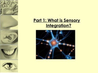 Sensory Integration | ODP