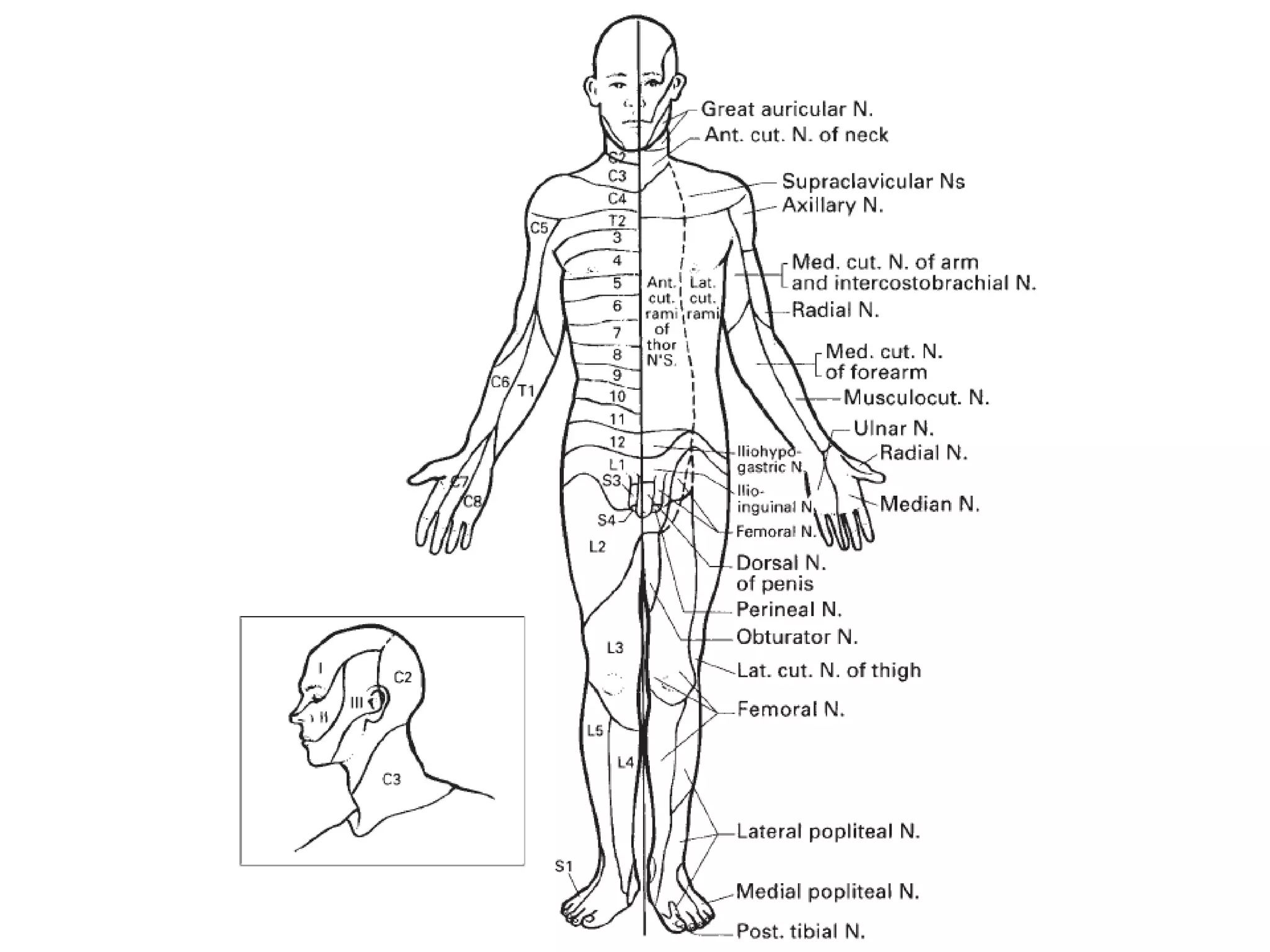 SENSORY INTEGRATION.pptx