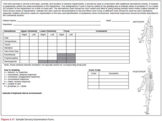 SENSORY INTEGRATION.pptx