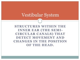 Sensory Integration Techniques | PPTX