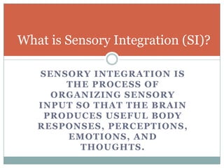 Sensory Integration Techniques | PPTX
