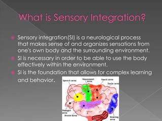 Sensory Interaction