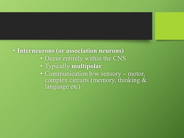 Sensory intro | PPT