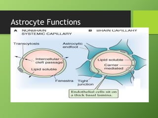 Sensory intro | PPTX
