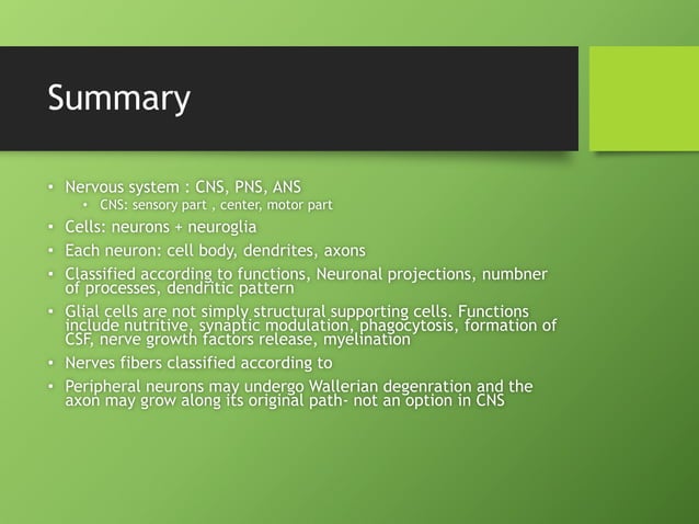 Sensory intro | PPT