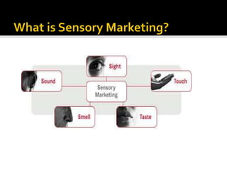 Sensory market | PPTX