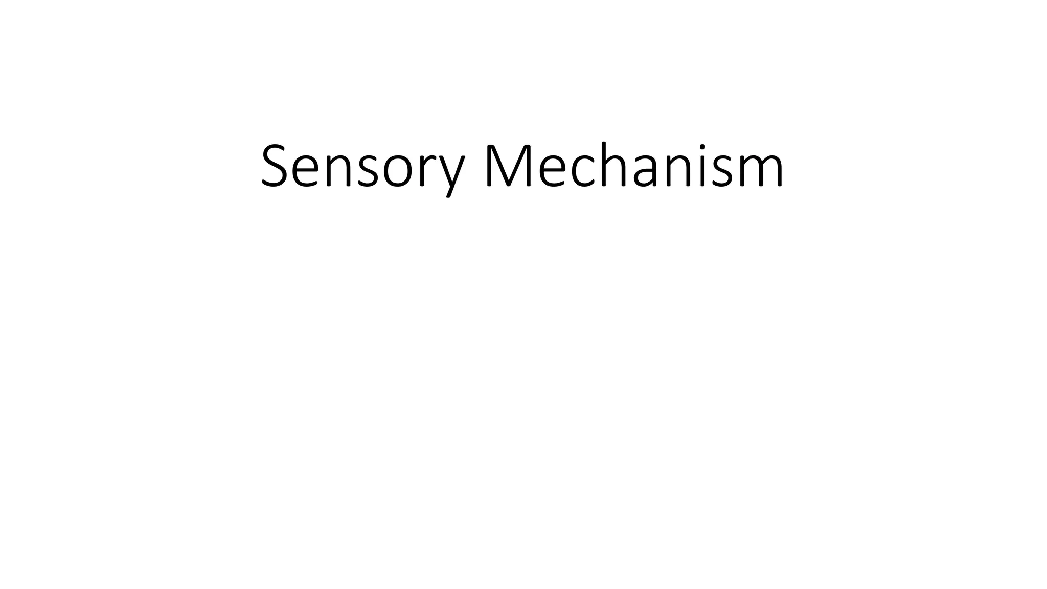 Sensory Mechanism- definition characteristics | PPT