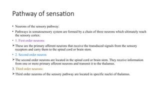 Sensory Mechanism- definition characteristics | PPTX