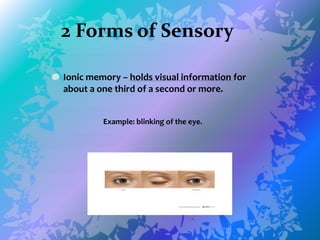 Sensory memory | PPTX