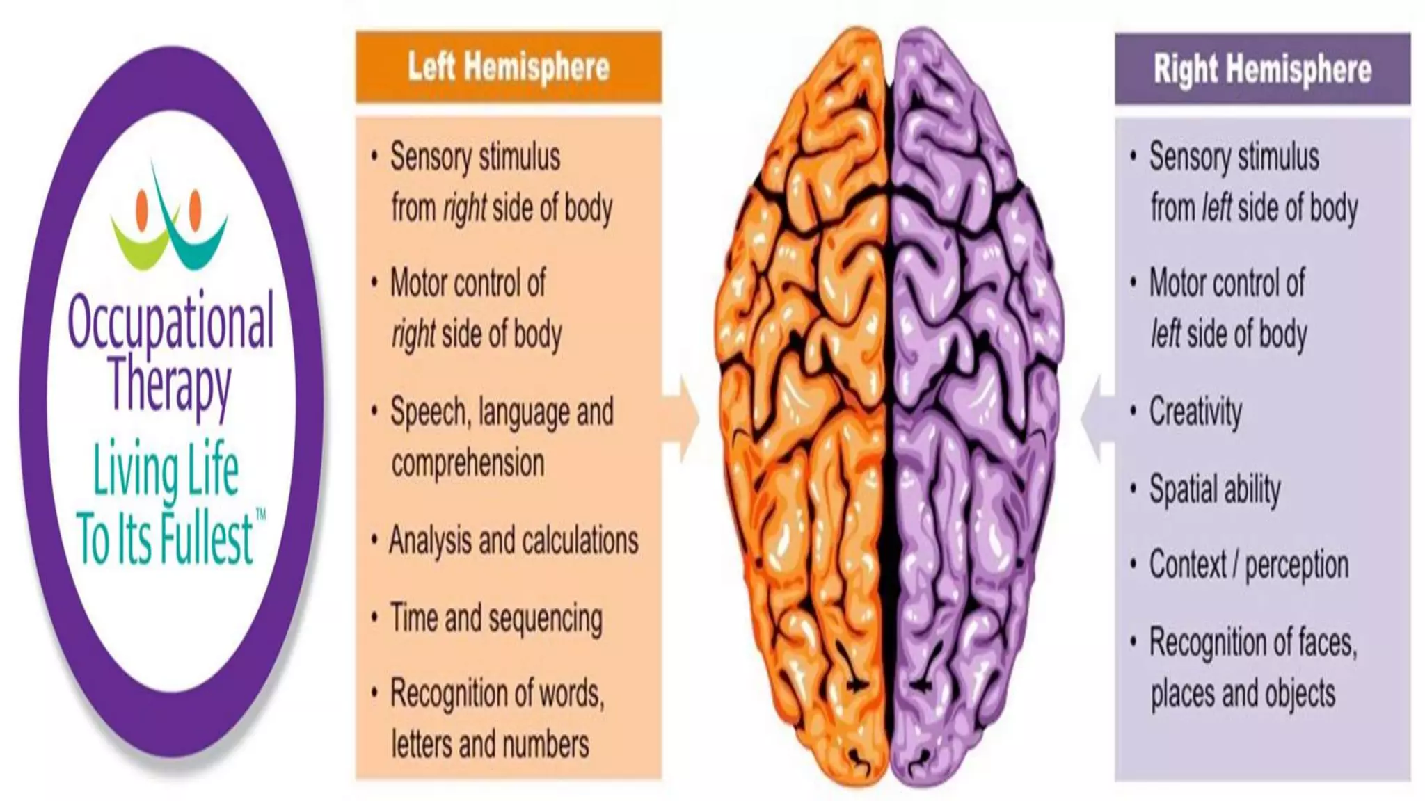 Sensory Motor Assessments and Interventions | PPTX