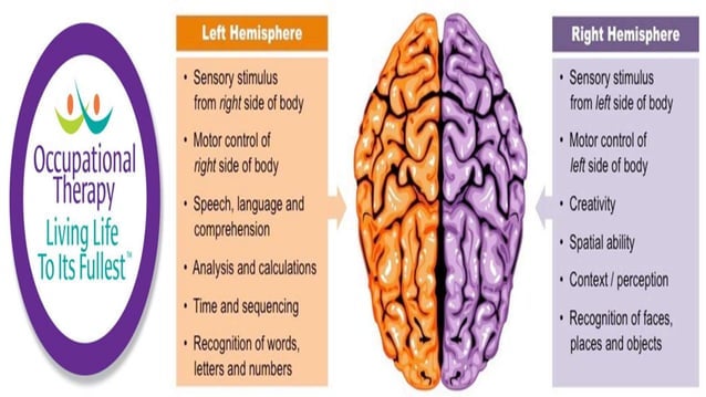 Sensory Motor Assessments and Interventions | PPTX | Pregnancy ...