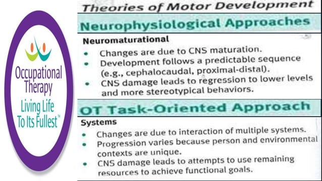 Sensory Motor Assessments and Interventions | PPTX | Pregnancy ...