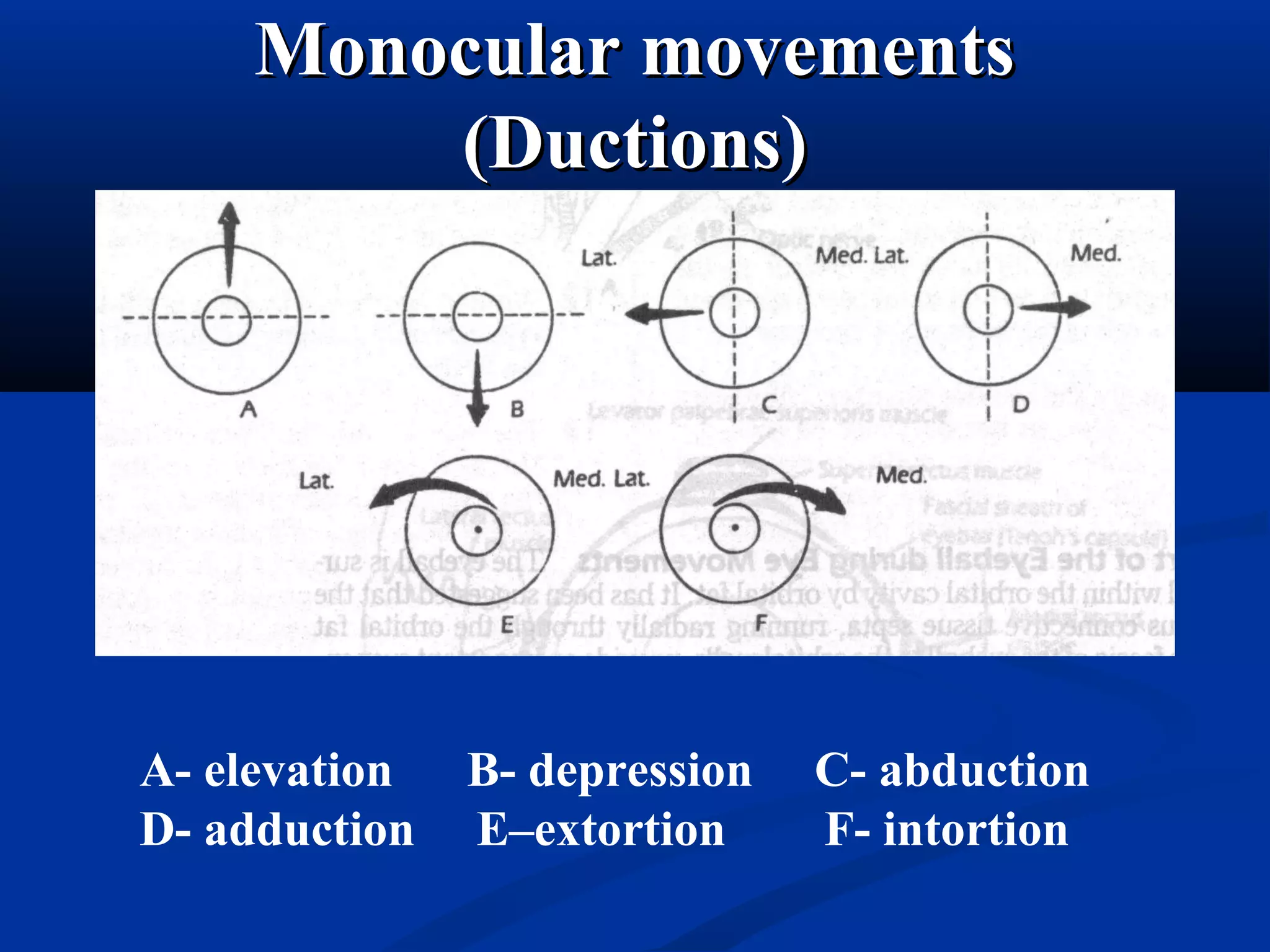 Sensory & motor evaluation of strabismus | PPT