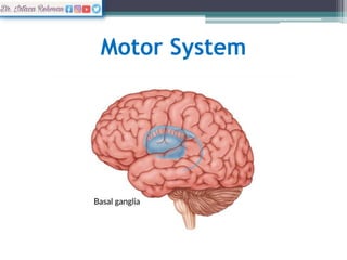 Sensory & Motor Examinations.pptx