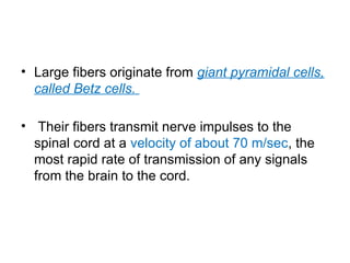 Sensory tracts and motor tracts (Central nervous system) | PPTX