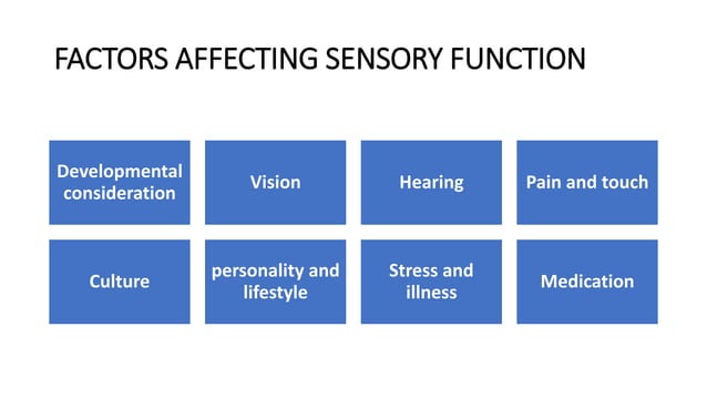 Sensory need.pptx