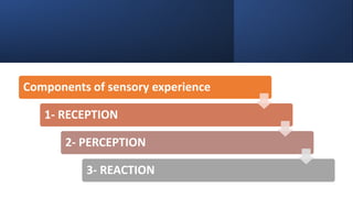 Sensory need.pptx