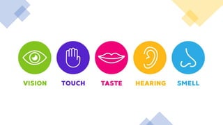 SENSORY NEED.pptx nnnnnnnnnnnnnnnnnnnnnnnnn | PPTX