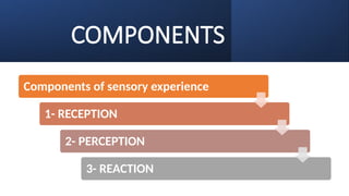 SENSORY NEED 11.pptx bbbbbbbbbbbbbbbbbbbbbbbbbbbbbbb | PPTX