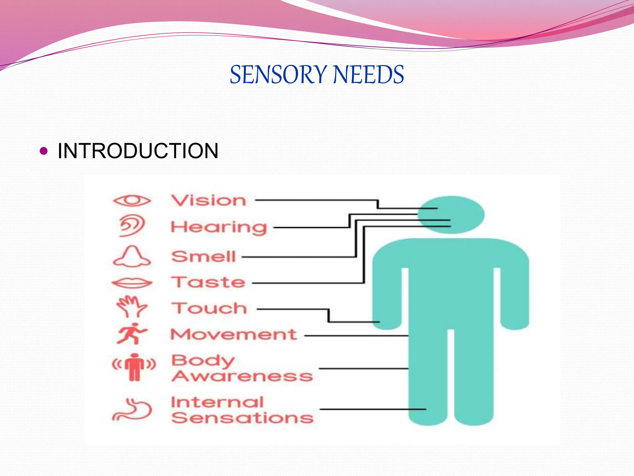 Sensory needs.pptx