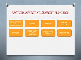 SENSORY NEEDS B.SC. NURSING SEMESTER II. | PPTX