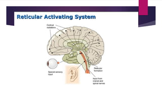 Sensory needs, care of unconscious patient | PPTX