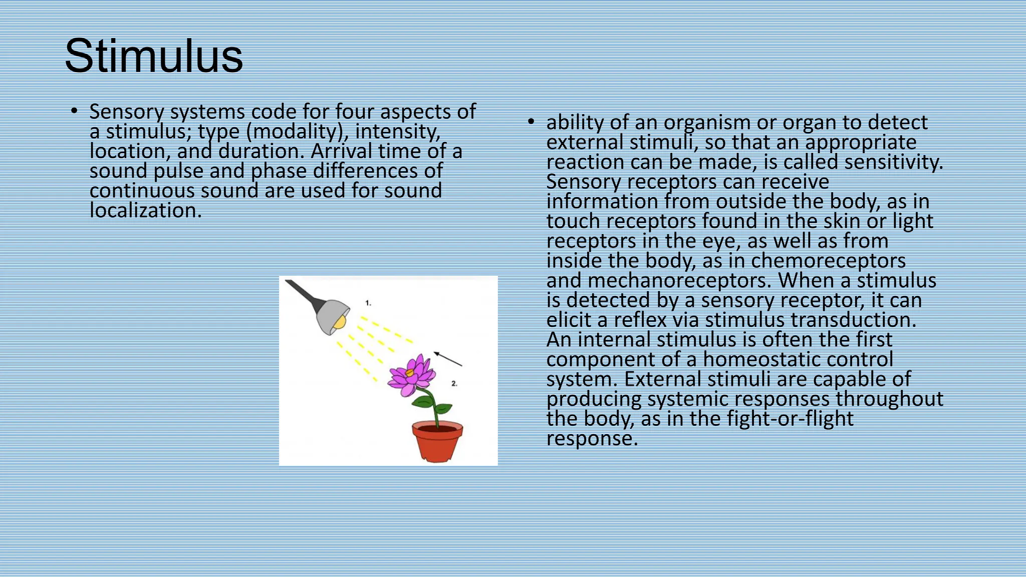 SENSORY NERVOUS SYSTEM,drjma.pdf