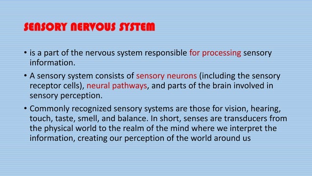 SENSORY NERVOUS SYSTEM,drjma.pdf