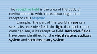 SENSORY NERVOUS SYSTEM,drjma.pdf
