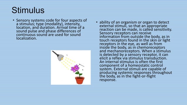 SENSORY NERVOUS SYSTEM,drjma.pdf