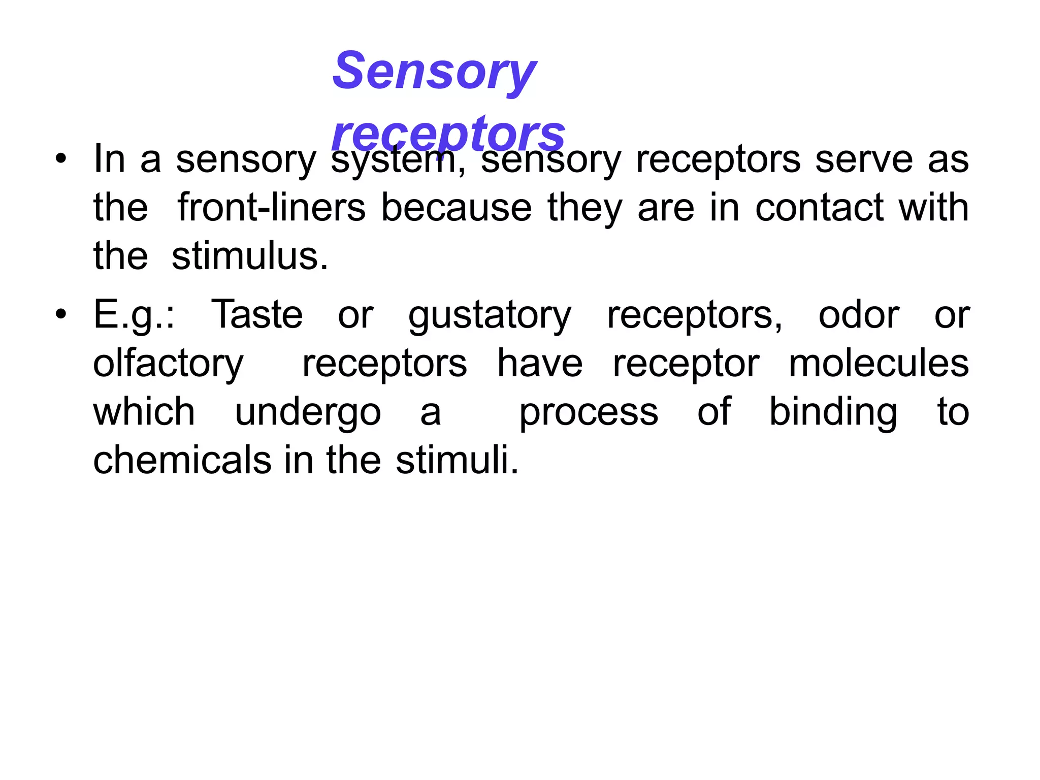 sensory_neurons.pptx
