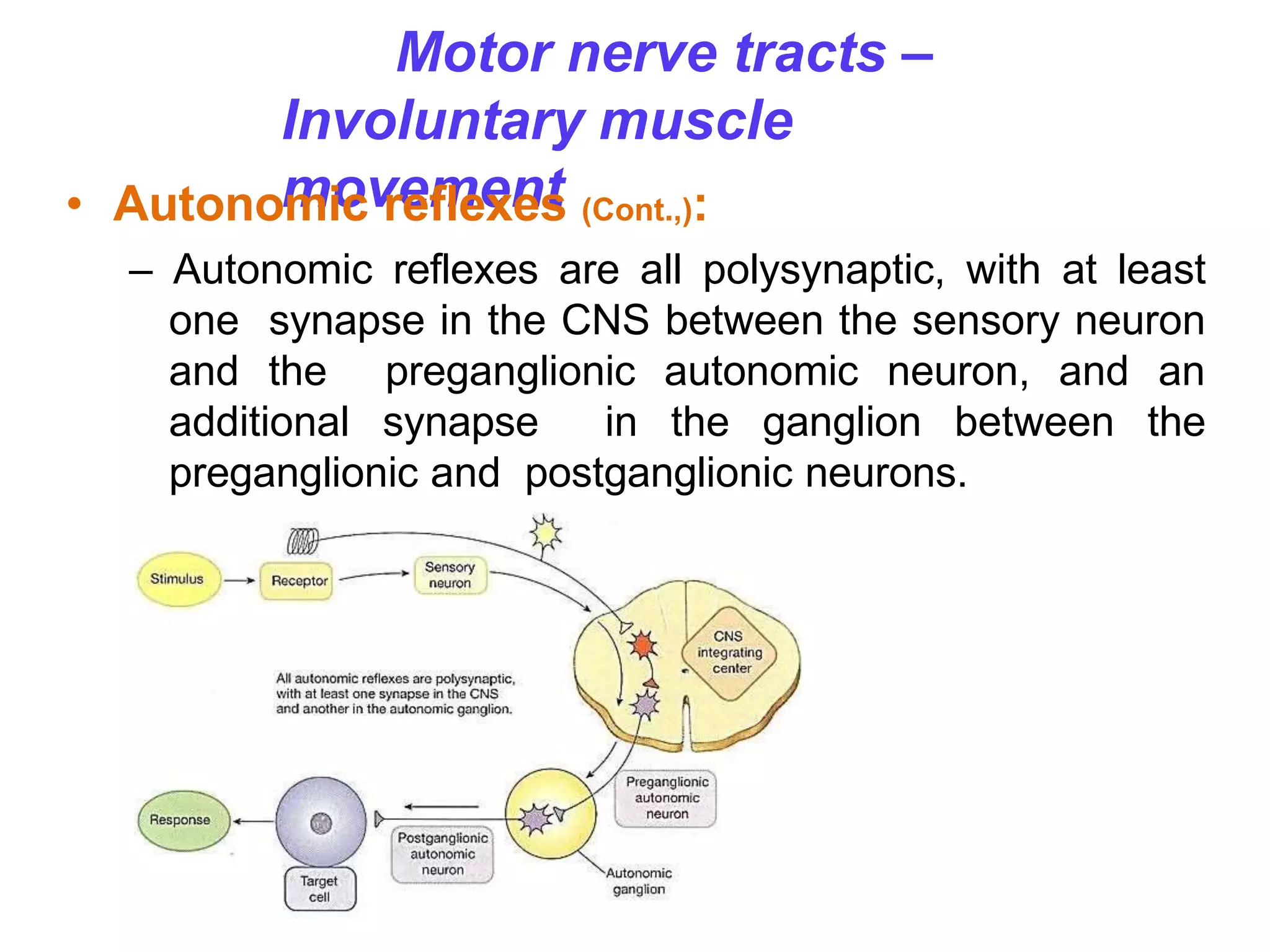 sensory_neurons.pptx
