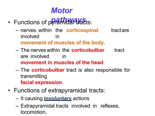 sensory_neurons.pptx | Brain and Nervous System Disorders | Diseases and Conditions