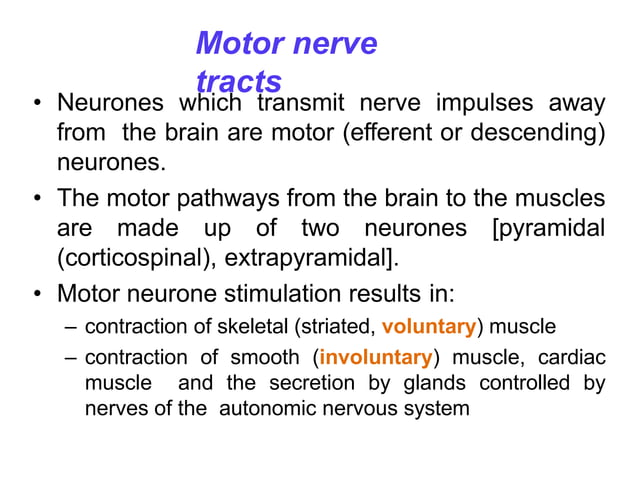 sensory_neurons.pptx | Brain and Nervous System Disorders | Diseases and Conditions