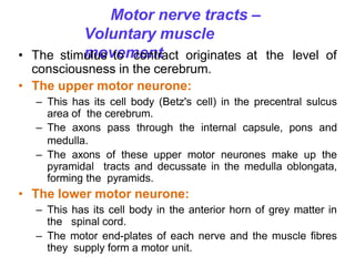 sensory_neurons.pptx | Brain and Nervous System Disorders | Diseases ...