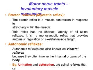 sensory_neurons.pptx