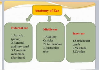 SENSORY ORGAN..(THE EAR).pptx