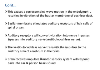 SENSORY ORGAN..(THE EAR).pptx